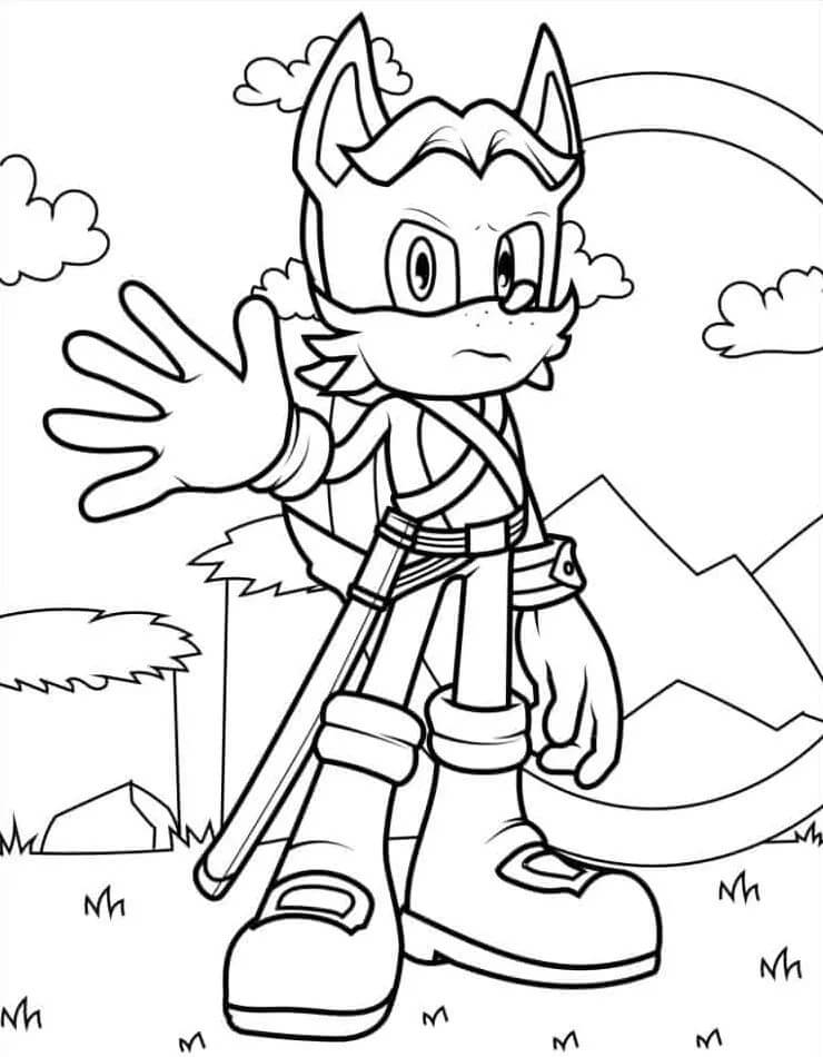 Sonic Fargelegging Fargeleggingssider